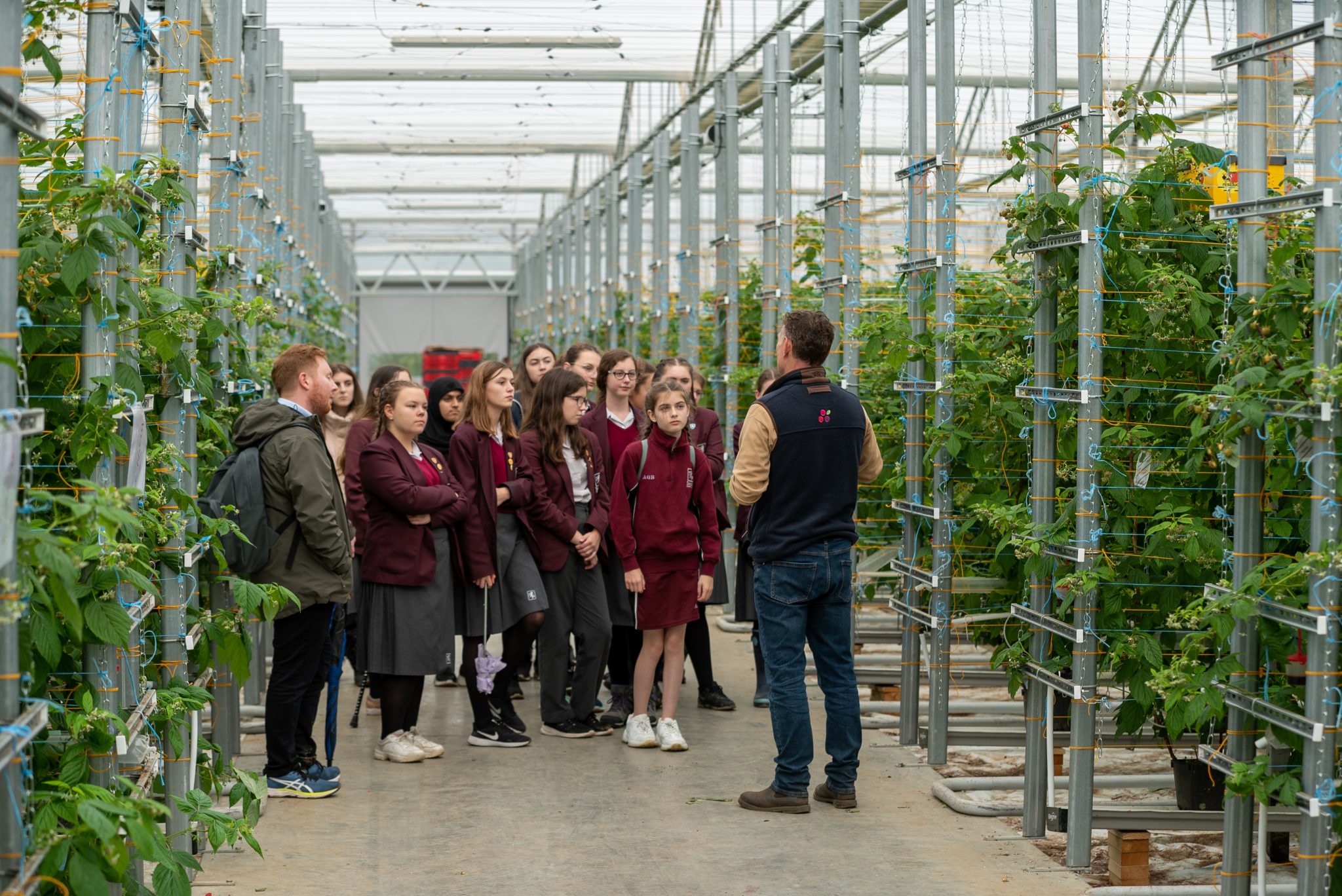 Maidstone fruit grower offers school eco tours showcasing green energy